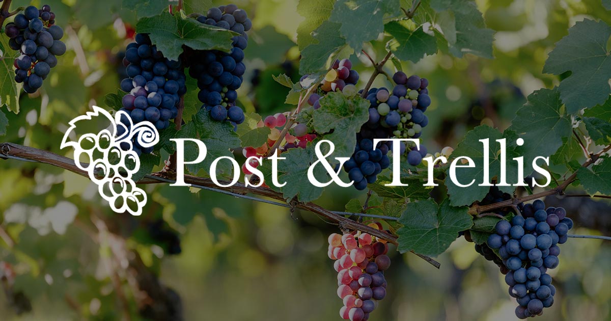 Vineyard Installation | Post & Trellis